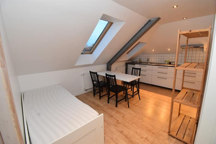 Nw Apartment + Free Private Parking - Ljubljana