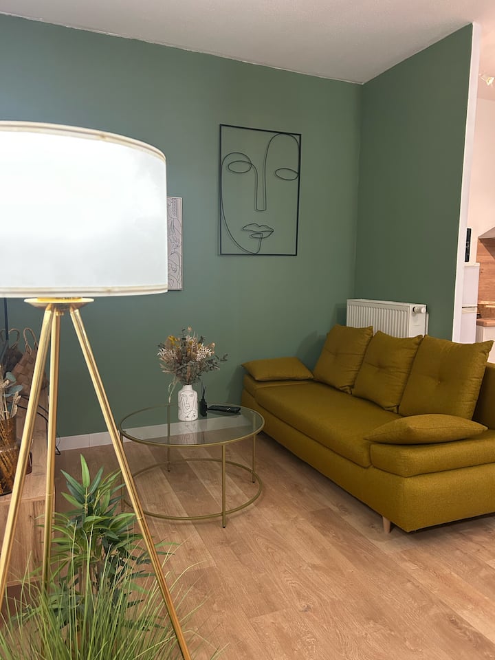Appartement Cosy Avec Jardin Privatif - Barr
