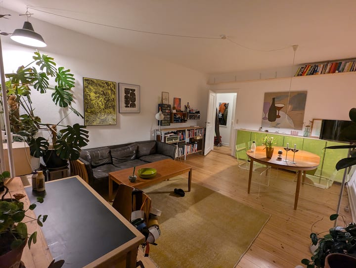 Cosy Copenhagen Flat - Kopenhagen