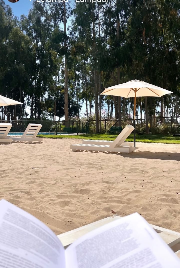 Arriendo Dpto Con Seguridad 24 Horas + Conserjería - Algarrobo