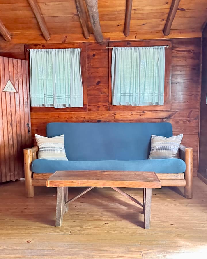 Cabin 2-lake Access-vintage-swimming-fishing-docks - Hot Springs, AR