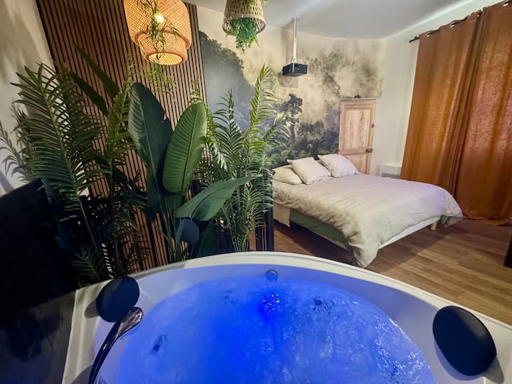 L’oasis - Spa & Sauna, Parking Privé - Angers