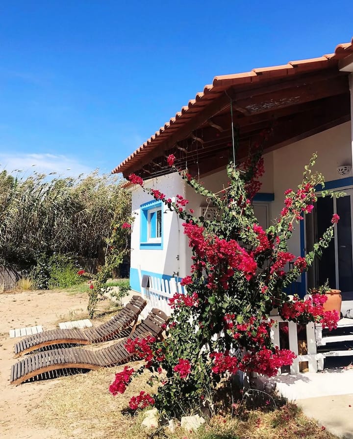 Beautiful 4-bedroom Country House In Alentejo - Vila Nova de Milfontes