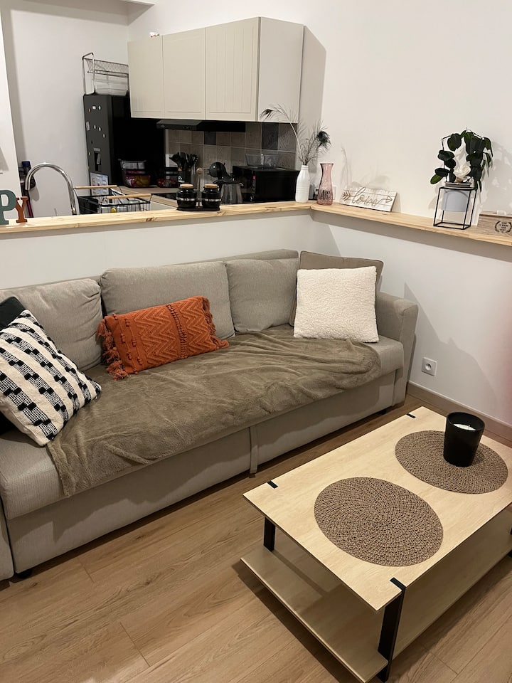 Appartement T3 - Toulouse