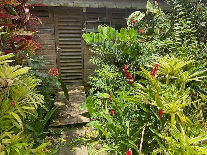 Adorable, Cosy Wooden Bauhinia Cottage - Dominica
