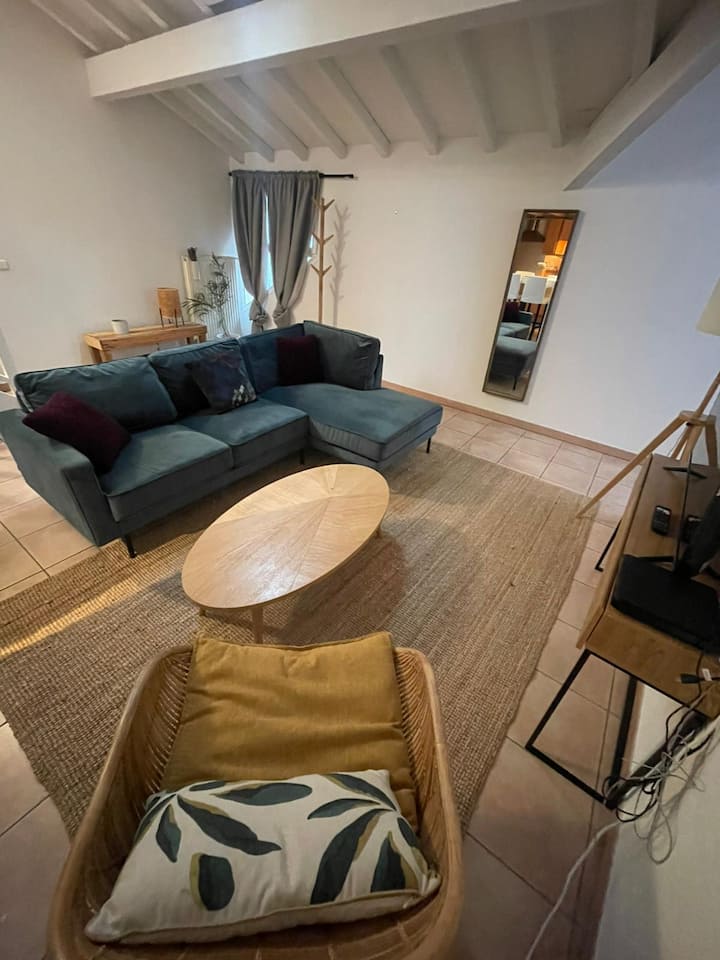 Cosy Duplex In Hypercenter (1br) - Versoix