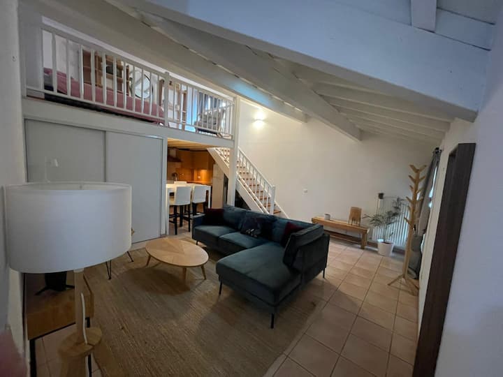 Cosy Duplex In Hypercenter (1br) - Ferney-Voltaire