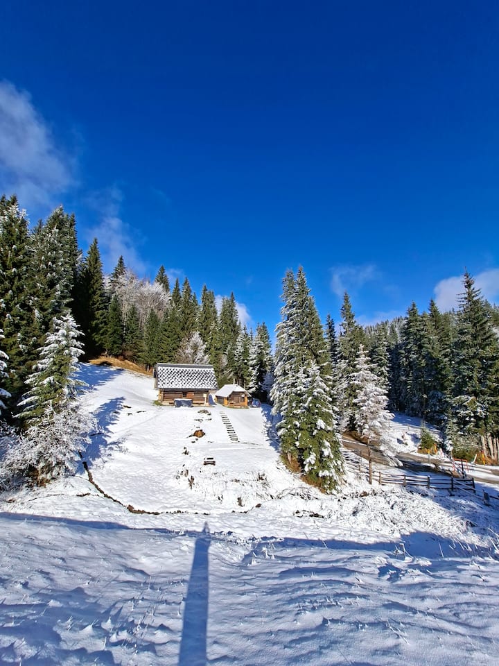 Lodge - Brunarica Na Goreljeku - Bohinj, Pokljuka - Bled