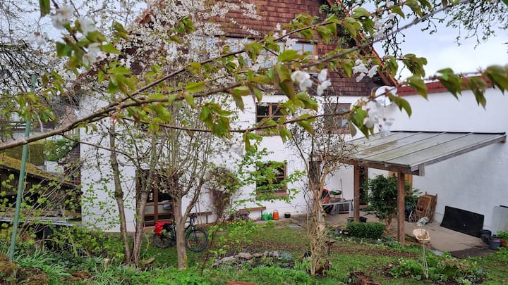 Altes Bauernhaus Am Tinnhagen - Brilon