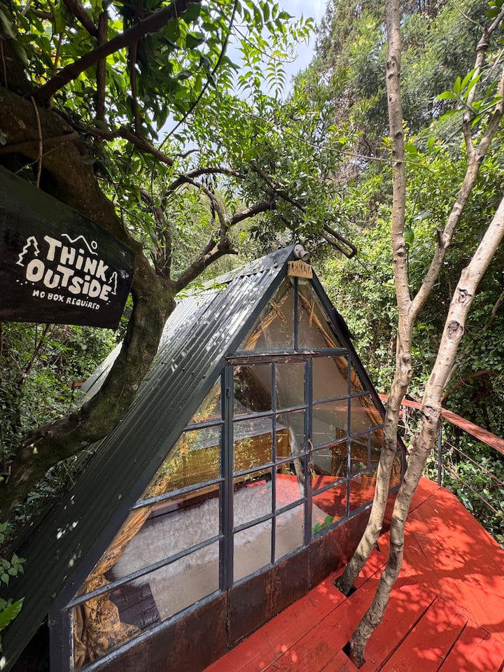 Forest Small House-lenana - Kenya