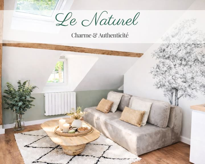 " Le Jardin De L'évêché à Votre Fenêtre " - Lisieux