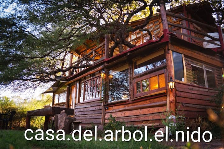 El Nido

La Casa Del áRbol