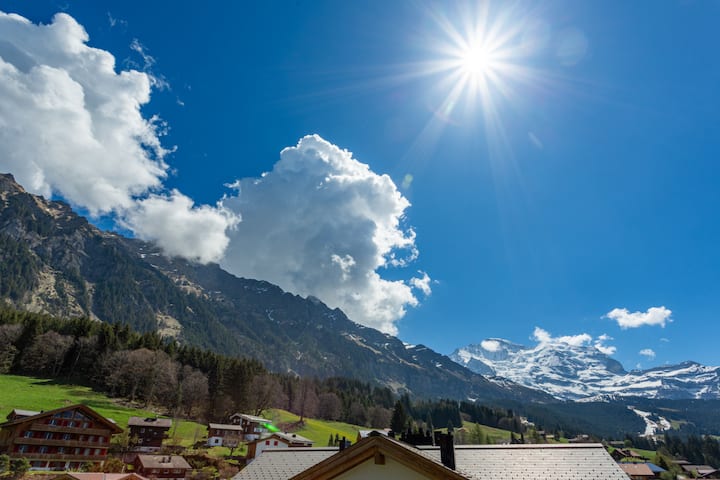 Cosy Alpine Stay With Sauna, Fireplace & Views - Wengen