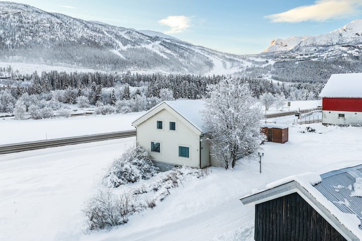 Spacious Cabin & Annex In Hemsedal - 20 People - Norway