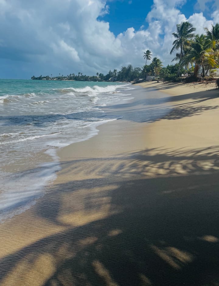 Beach Front Apartment In Loiza - Porto Rico