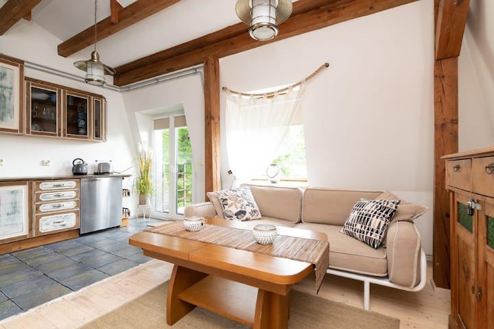 Vintage Style Penthouse & Spa - Tallinn