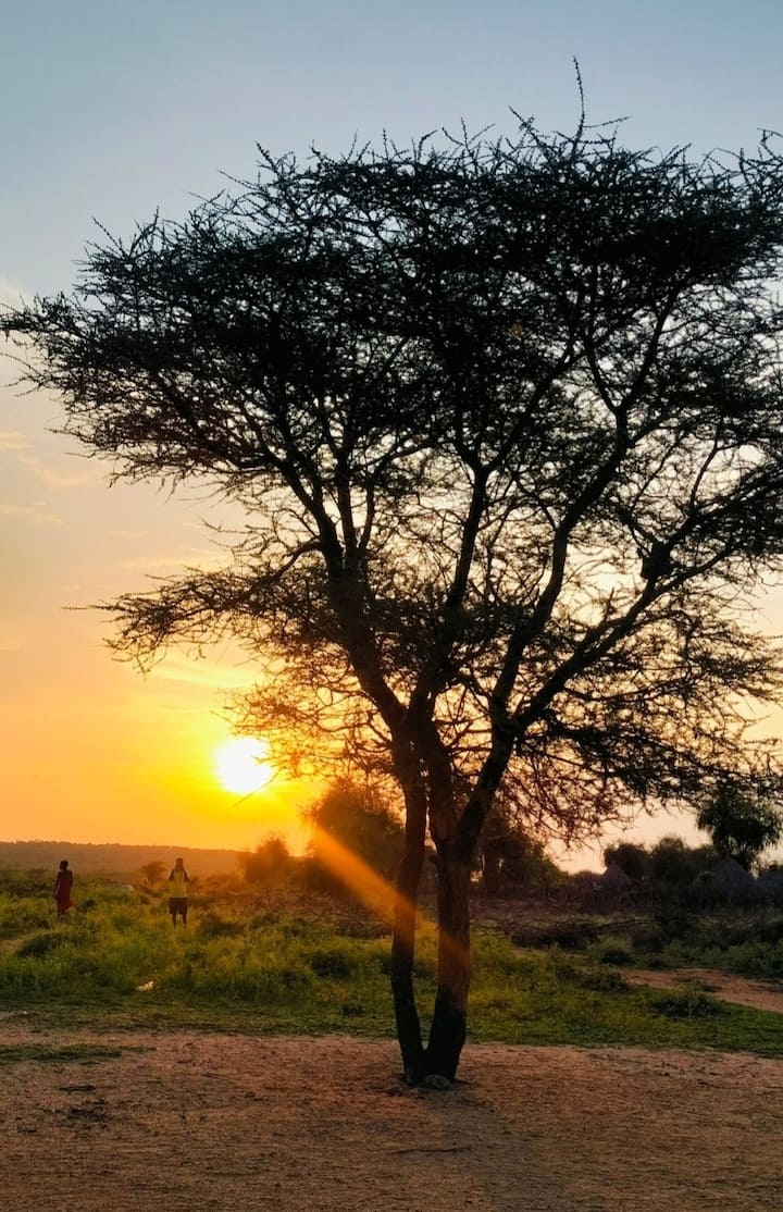 Private Rooms - Lalibela