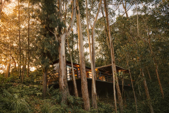 Manoah - Cabin In The Woods - Marinilla