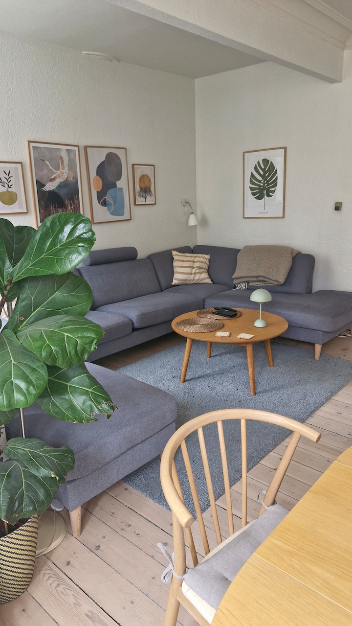 Centralt I København - Copenhagen