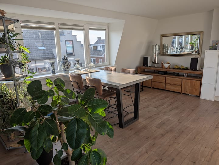 Heerlijk Lichte Ruime Bovenwoning - Haarlem
