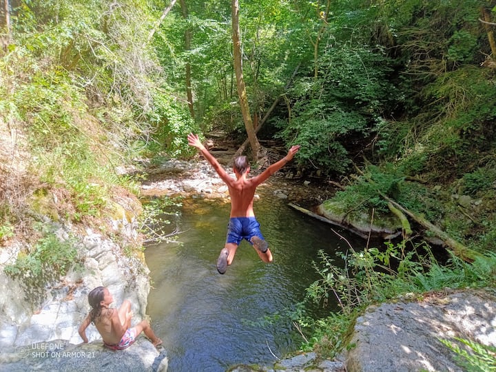 Gîte 4 Pers 20hectares Rivière Coup De Coeur - Arles-sur-Tech