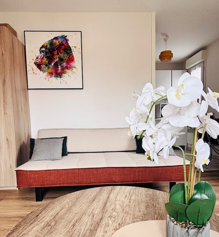 Le Cosy Home, Grand Studio Cosy - Lac de Viry