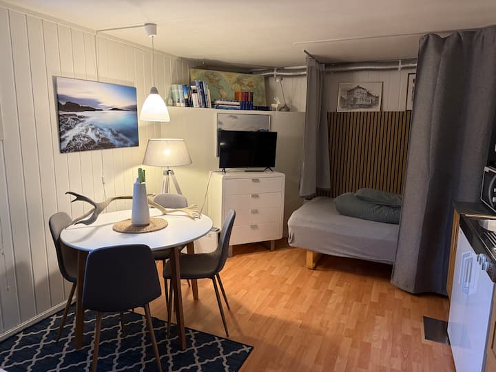 Unique Place To See Northern Lights. Upper Center. - Tromsø