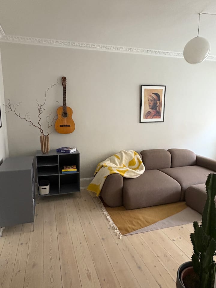 Central, Spacious Flat In The Heart Of Copenhagen - Köpenhamn
