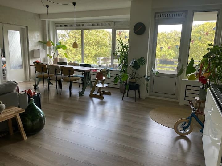 Appartement In De Stad Met Uitzicht Op Het Park - Amsterdam
