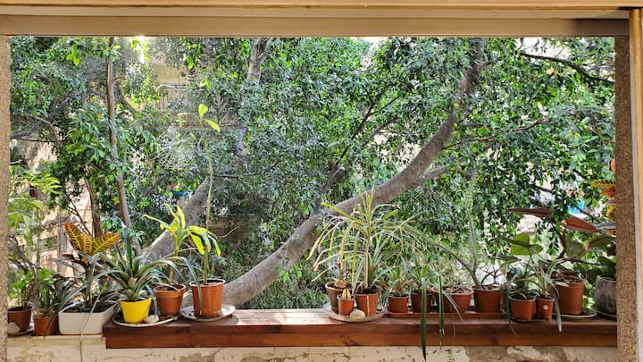 Quiet & Green Home | City Center - Tel-Aviv