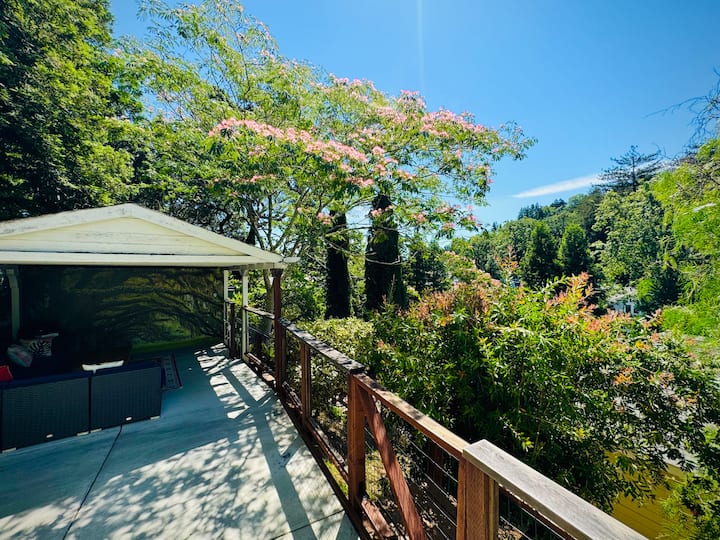 Modern Studio In Redwoods W/deck & Outdoor Cinema - Fairfax, CA