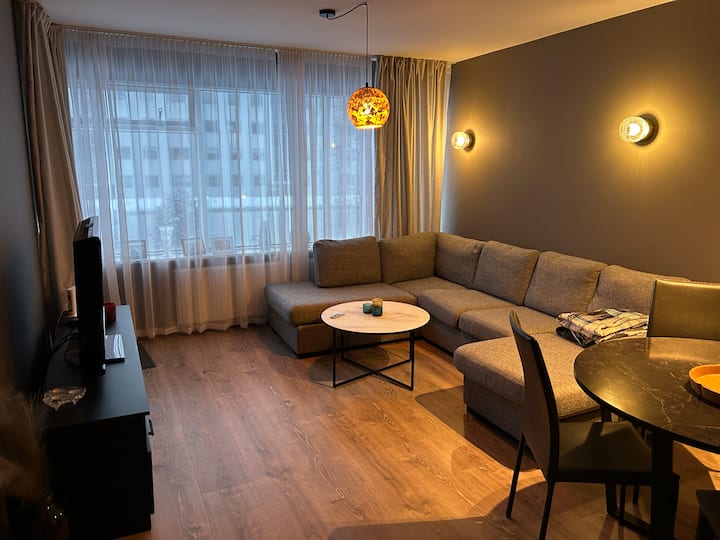 2 Bedroom Condo In Reykjavík. 15 Min To Downtown - Reikiavik