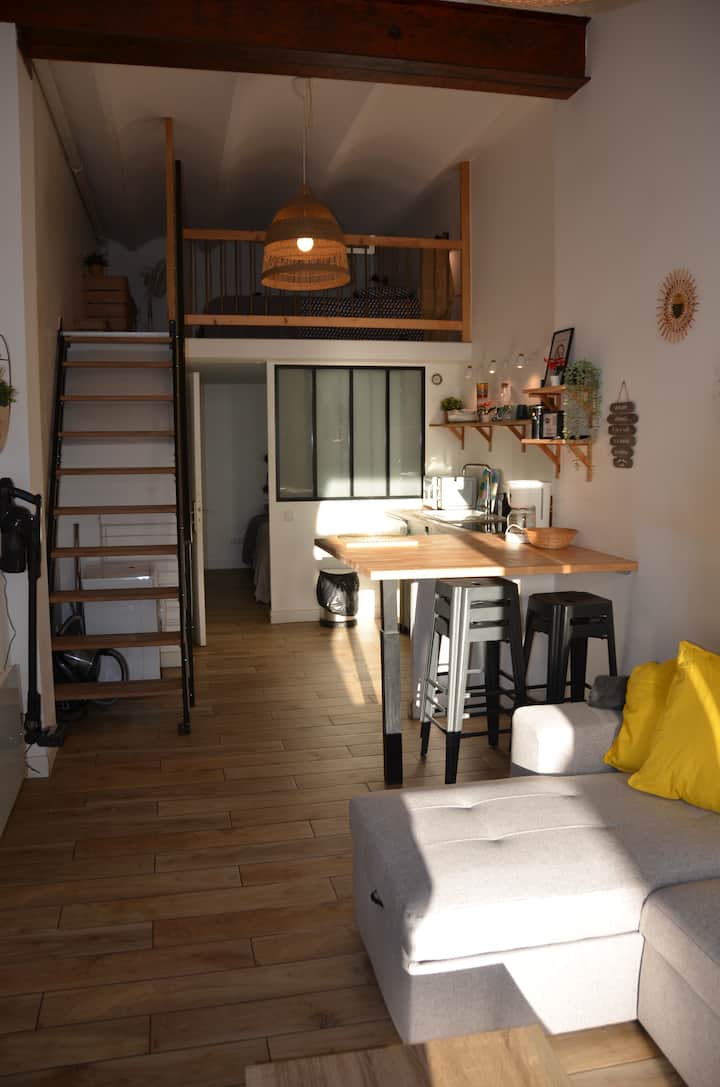 Centre, 2 Chambres, Tramway, Gare St Roch, Comedie - Montpellier