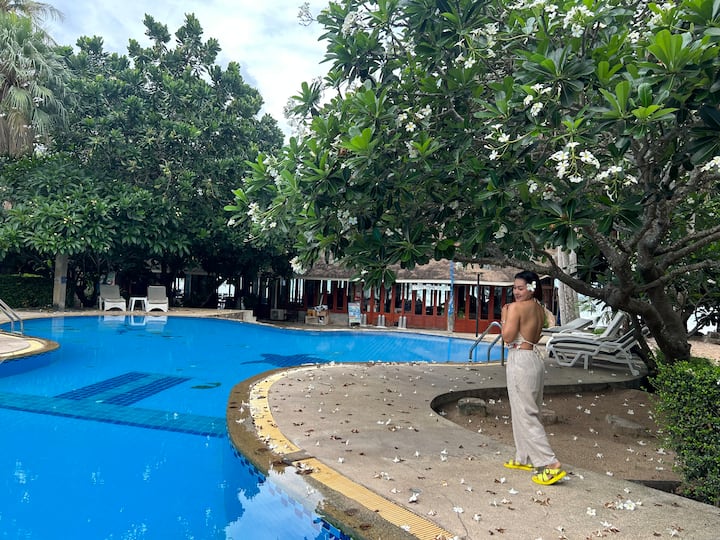 Koh Tao Crg Budget A/c* - Koh Tao