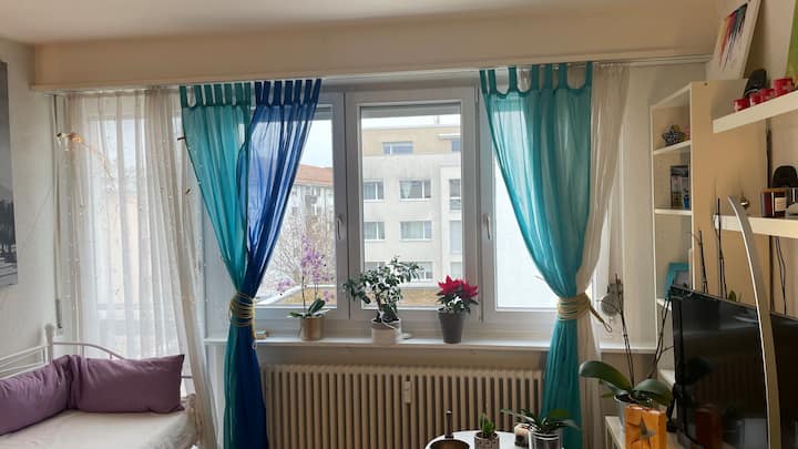 Lovely Apt Central Near Rhein  Novartis + Car Park - Bâle