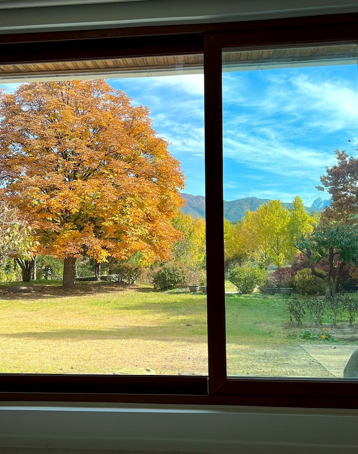 불멍을 위한 비밀정원 마로니에하우스 - 주교동