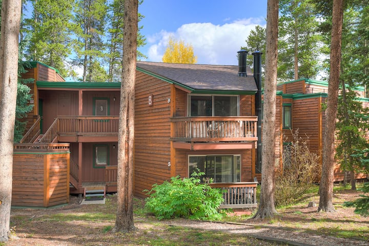 Ginsburg Retreat | Easy Access To Peak 8 & Views! - Breckenridge, CO