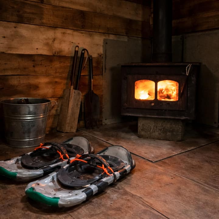 Spruce Forest Tiny Cabin & Spa - Durham