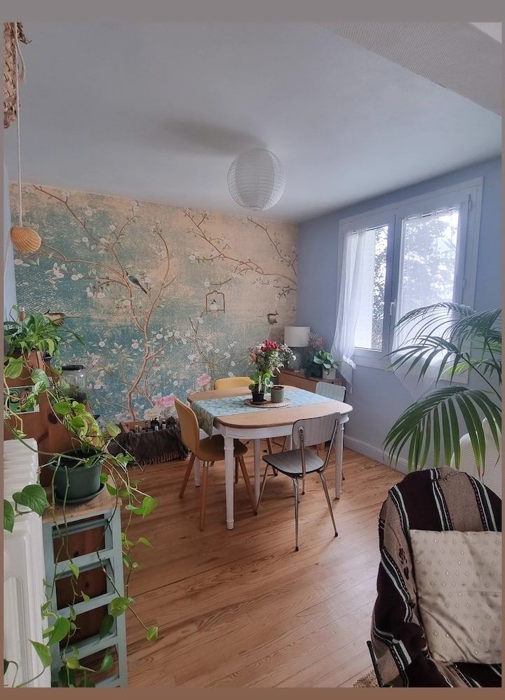 Superbe Appartement Clermontois Inondé De Lumière - Clermont-Ferrand