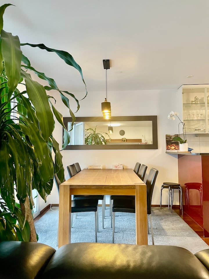 Wohnung (120m2) In Der Nähe Von Flughafen & Stadt - Zurique