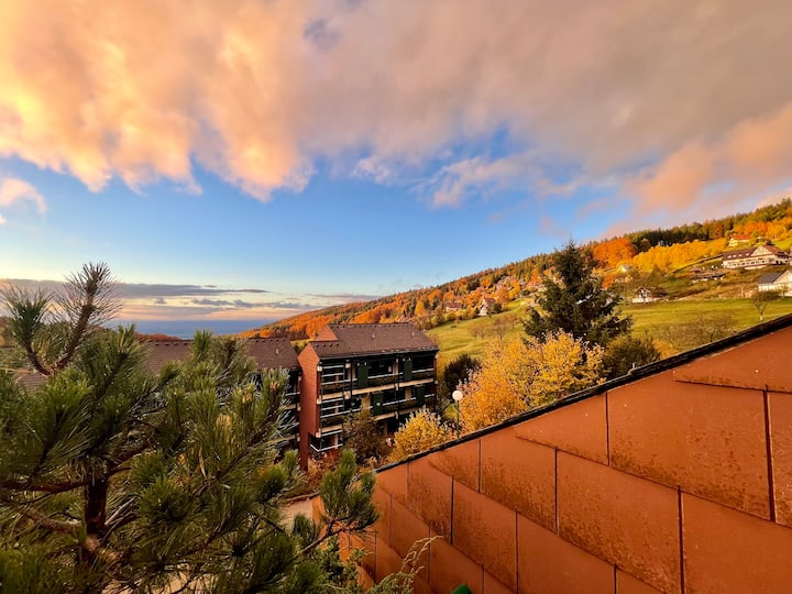 Das Waldi. Terrassen-wohnung Im Schwarzwald. - Sasbachwalden
