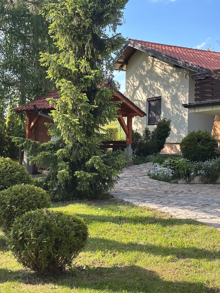 Villa Trajić Zlatibor - Zlatibor
