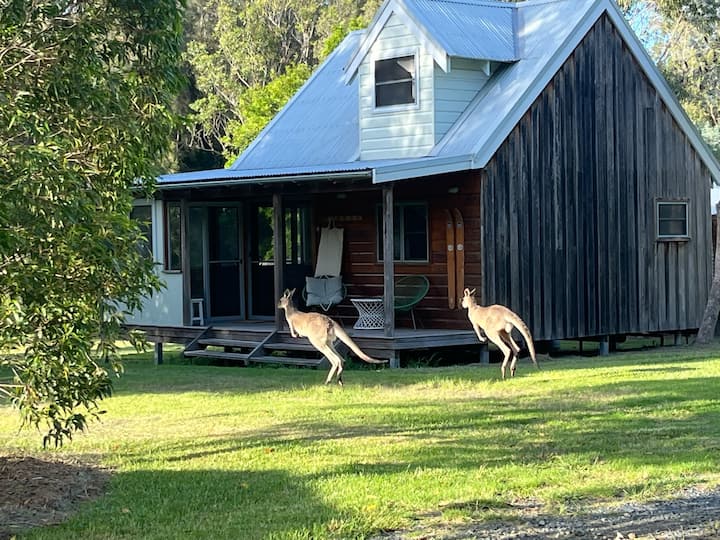 Seal Rocks Little Loft Cabin 2 At "The Mainstay" - Myall Lake, New South Wales