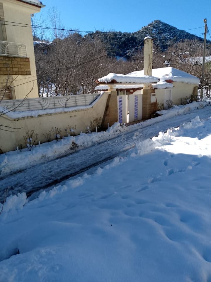 Cozy Home / Saison Fleur Blanche Cerisier - Azrou