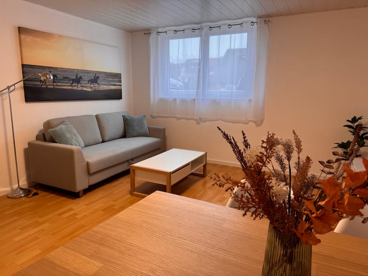 Familienfreundliche Ferienwohnung Nähe Europapark - Sexau