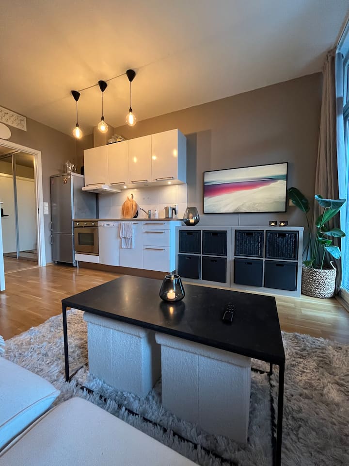 Koselig Leilighet M/balkong - St. Hanshaugen - Oslo