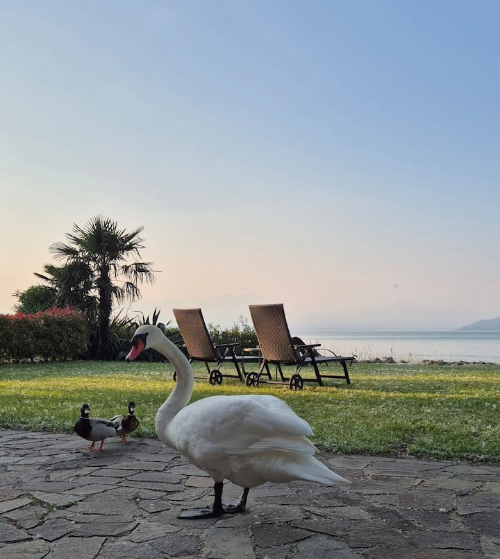 Grappa, Super Visual Para O Lago De Garda! - Peschiera del Garda