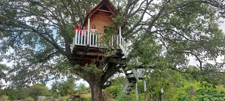 La Casita Del ÁRbol Del Parinaque