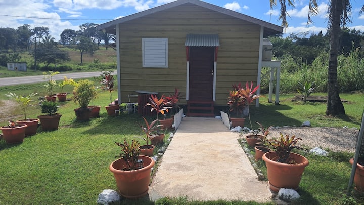 Come Experience Our Western Belize Hillside Cabin! - Belize