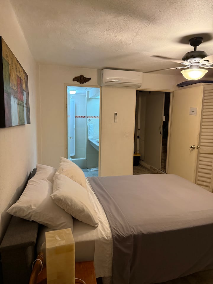 Room 10 Min Walking From Airport Marina Vallarta 1 - Puerto Vallarta